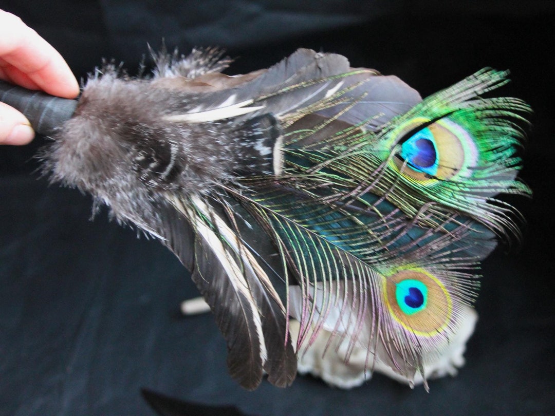 Rooster, Raven, Crow, Woodcock, Goose, Hawk Feathers Smudge Fan ...