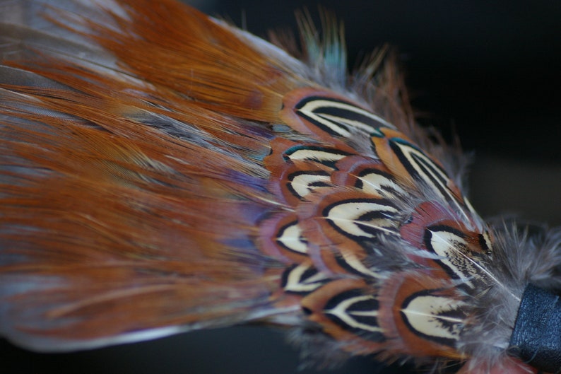 Dove, Pheasant Feathers Smudge Fan, Witchcraft, Shaman, Wiccan, Pagan ...