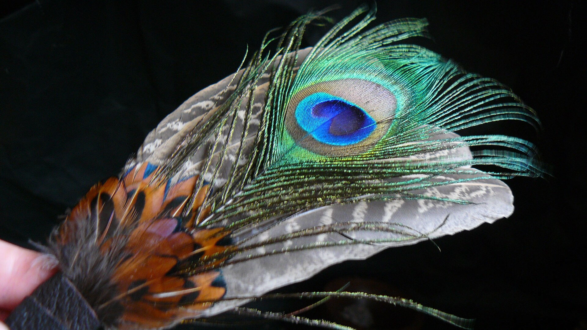 Pheasant and peacock feathers smudge | Etsy