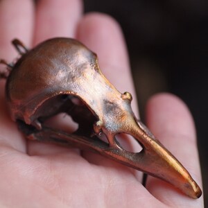 Halloween Present_real Bird Skull Pendant_copper-plated_electroformed ...