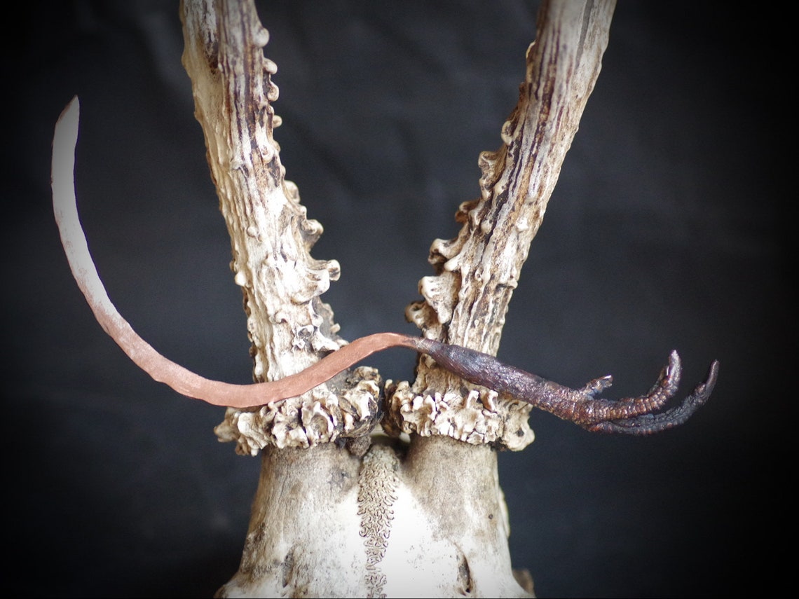 Copper Boline Ritual Sickle: Electroformed Bird Claw Handle, Pagan ...