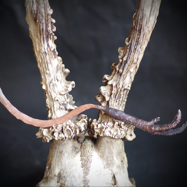Ritual Knife - Etsy