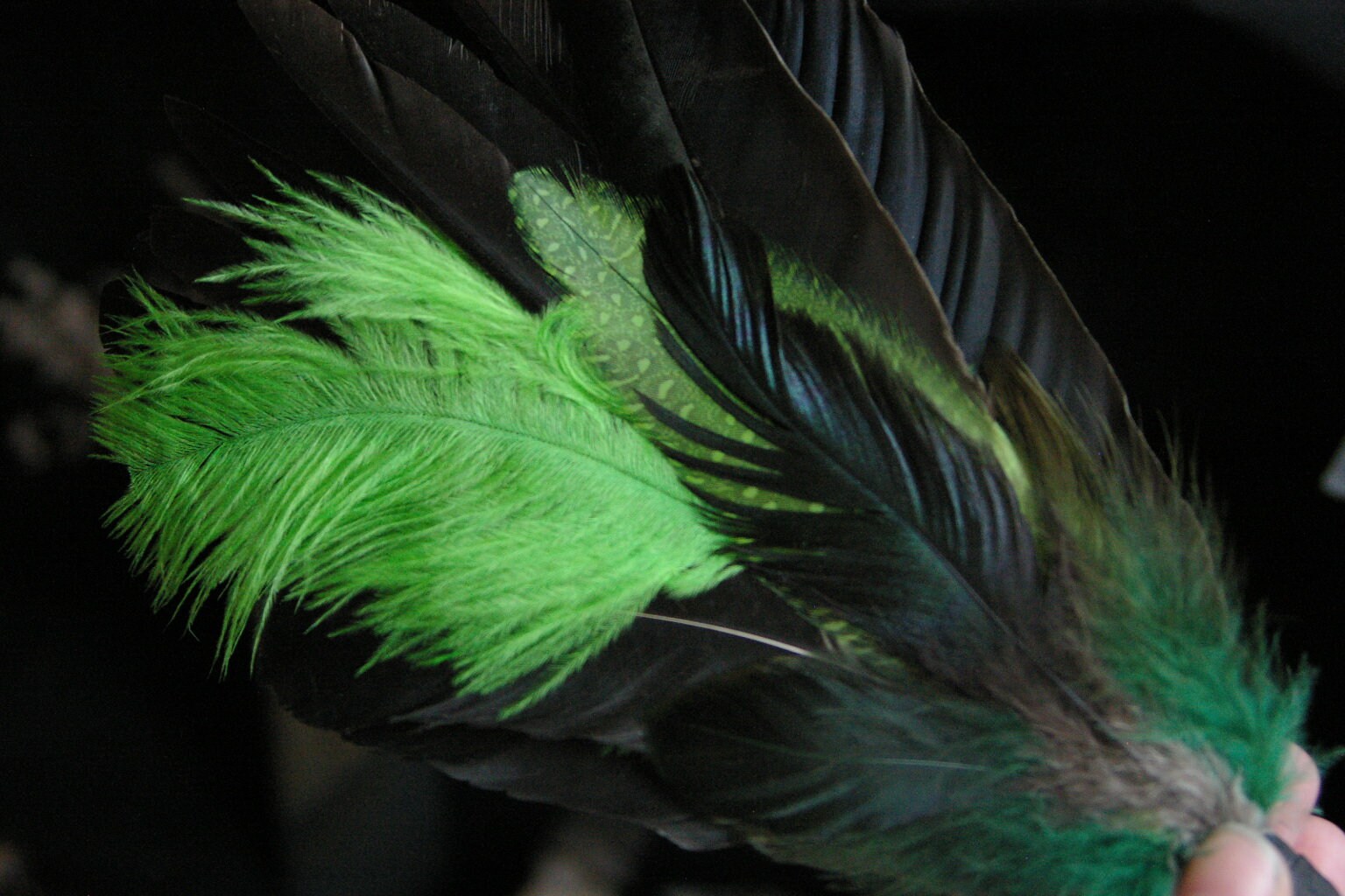 Raven Crow Ostrich Guinea Fowl and Rooster Feathers Smudge | Etsy