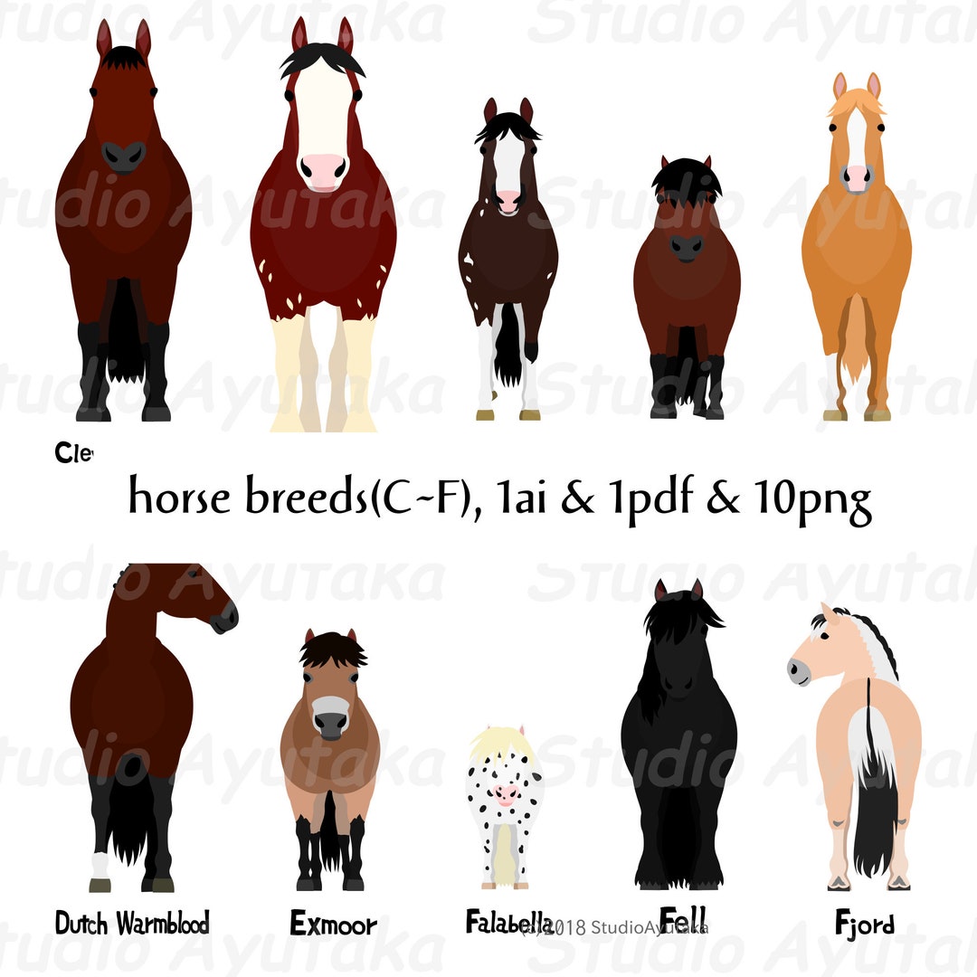 Horse Breed C~F Bundle, Ai, Pdf, Png - Etsy