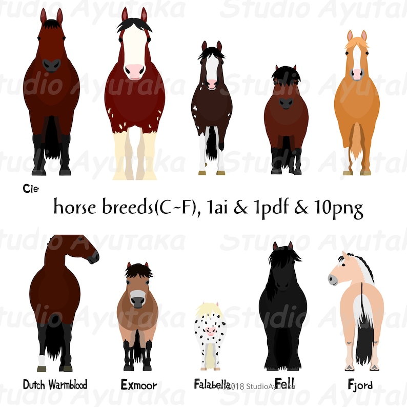 Horse Breed CF Bundle Ai Pdf Png - Etsy