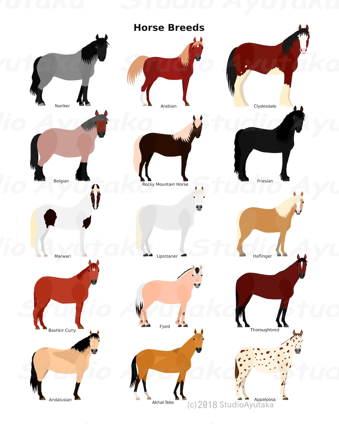 Various Breeds of Horse Chart, Svg, Png, Jpg - Etsy UK