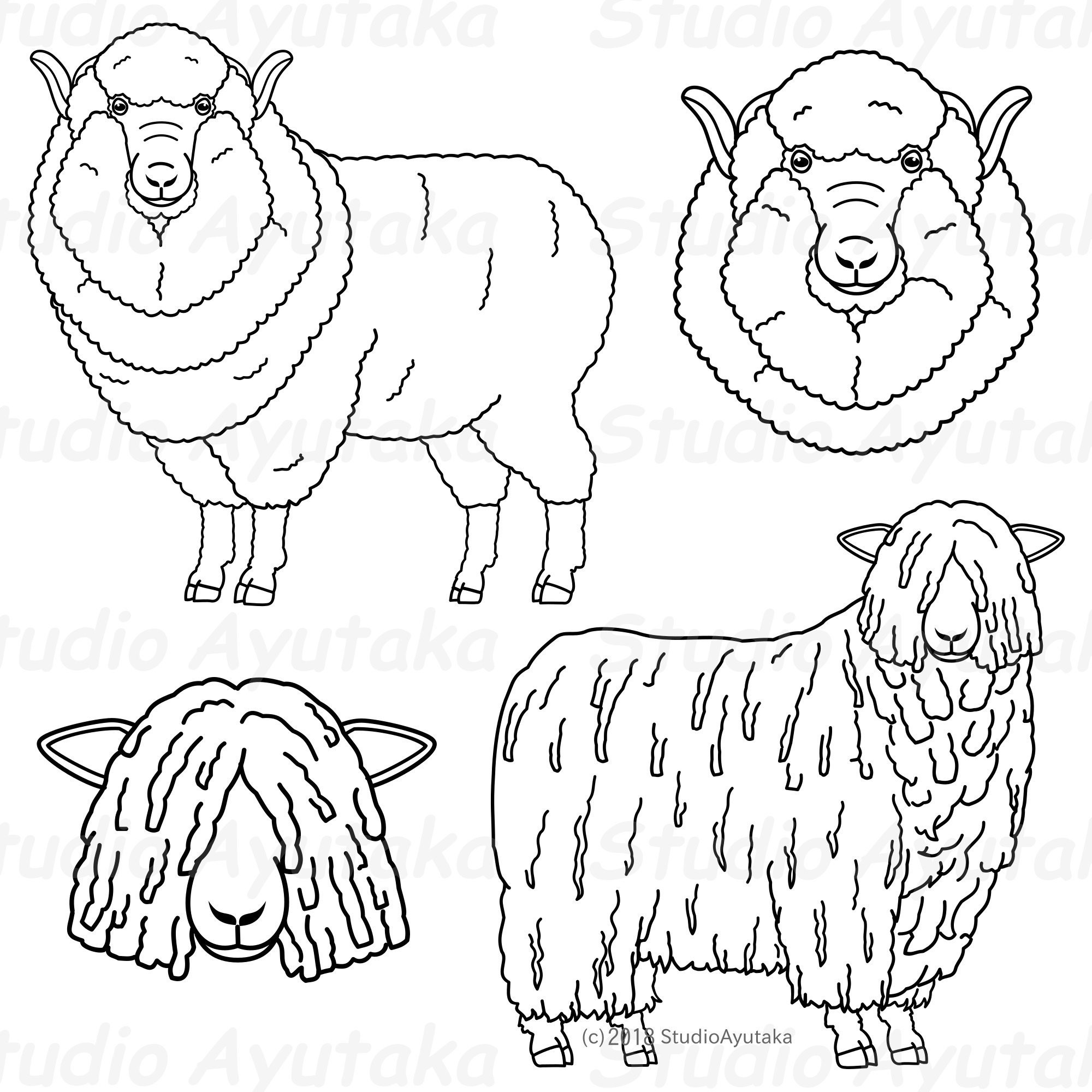 Merino&lincoln Sheep Line Art Design, Svg, Ai, Pdf, Png - Etsy