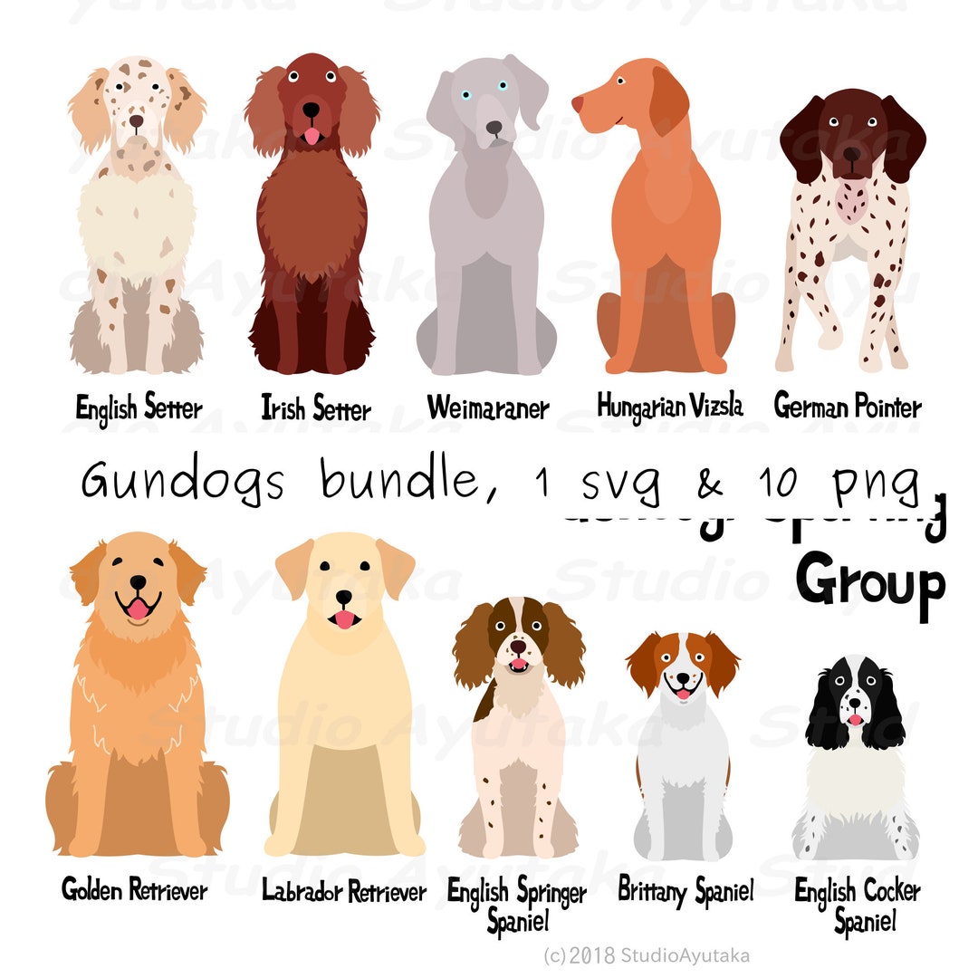 Gundogs Bundle, Svg, Png - Etsy