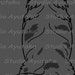 12 Dogs Back Line Art Bundle5, Svg, Png - Etsy Canada