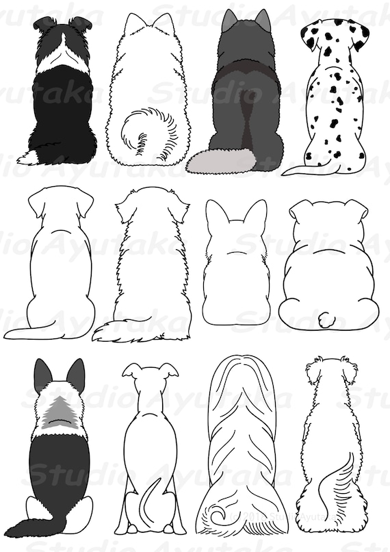 Dog Sitting Back Drawing