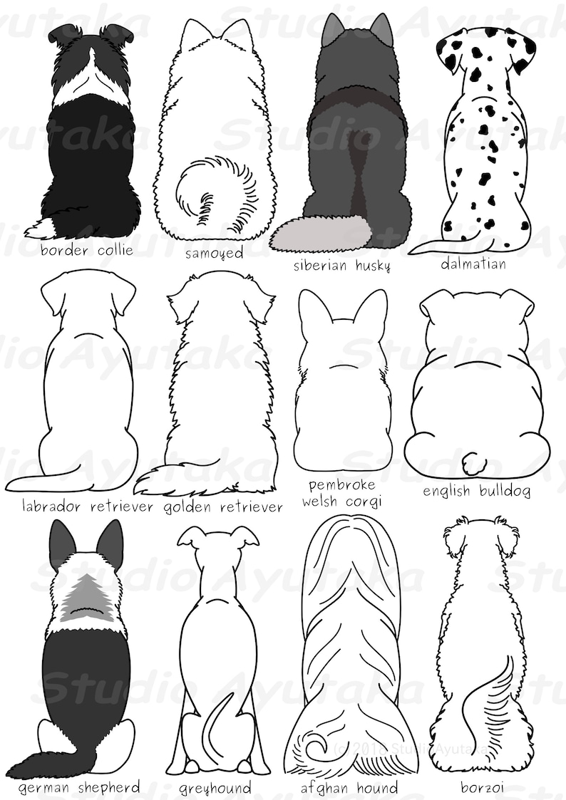Set of 12 Dog Backs Line Art - Hand-drawn Digital Drawings, Svg, Png - Etsy