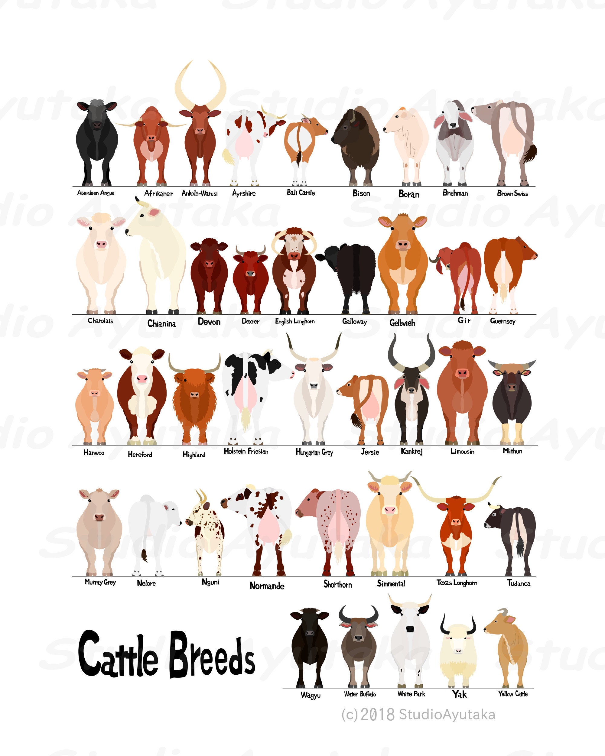 Vee ras lijst 2 /verschillende rassen van koeien grafiek - Etsy Nederland