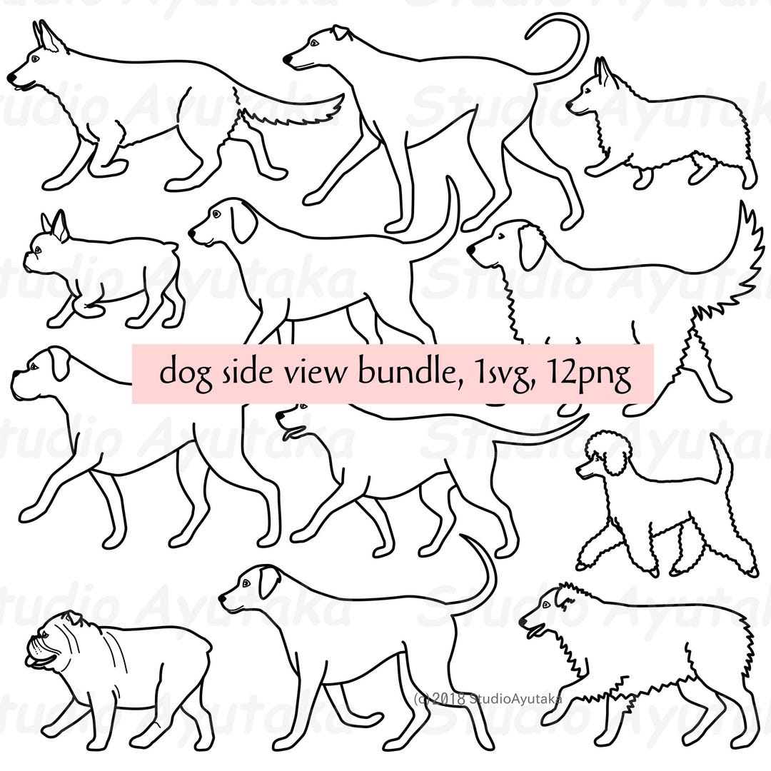 Dog Side View Bundle(outline), 1svg, 12png, Walking Dogs, 12 Breeds ...