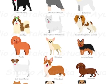 Small Dog Breeds With Pictures And Names