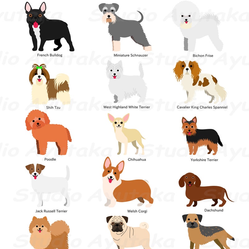 Dog Breed Chart - Etsy