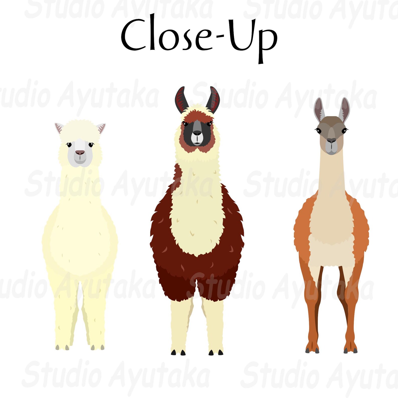 Camels, Llamas, Alpacas Bundle, Png, Ai, Pdf - Etsy