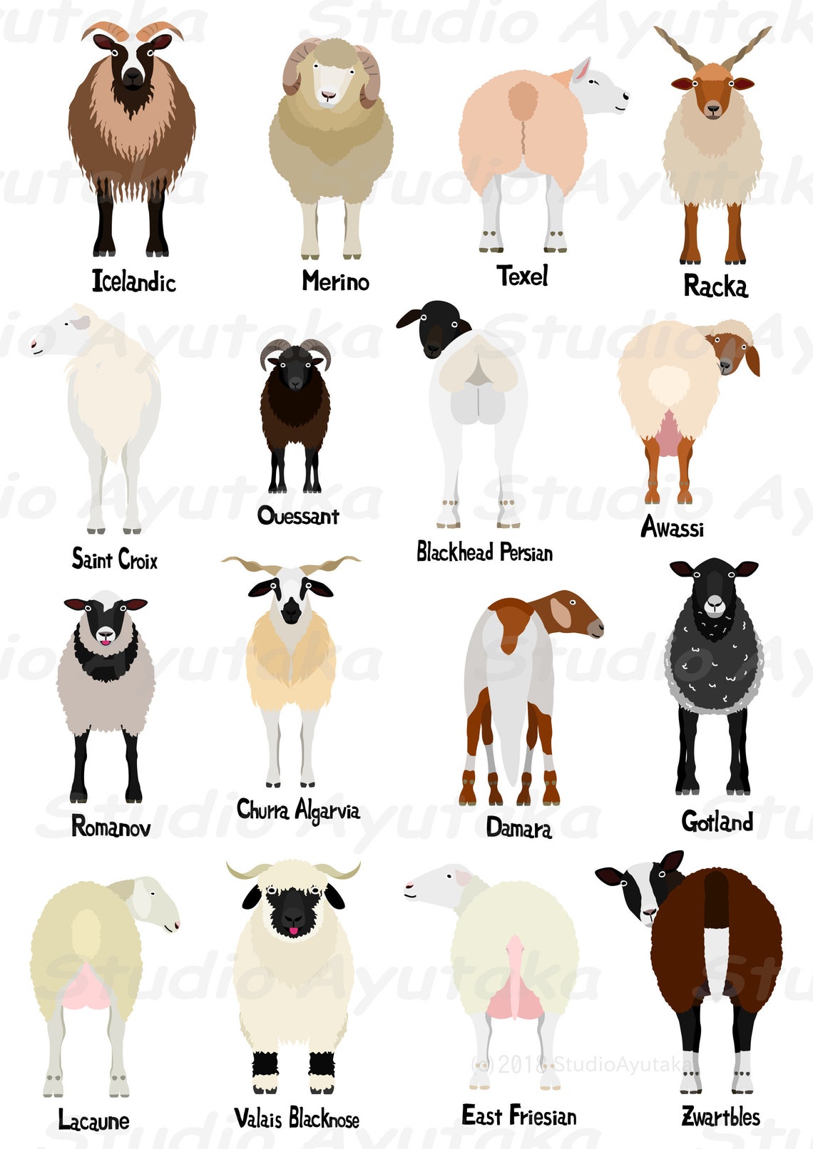 16 Breeds of Sheep Bundle Svg Png Jpg - Etsy