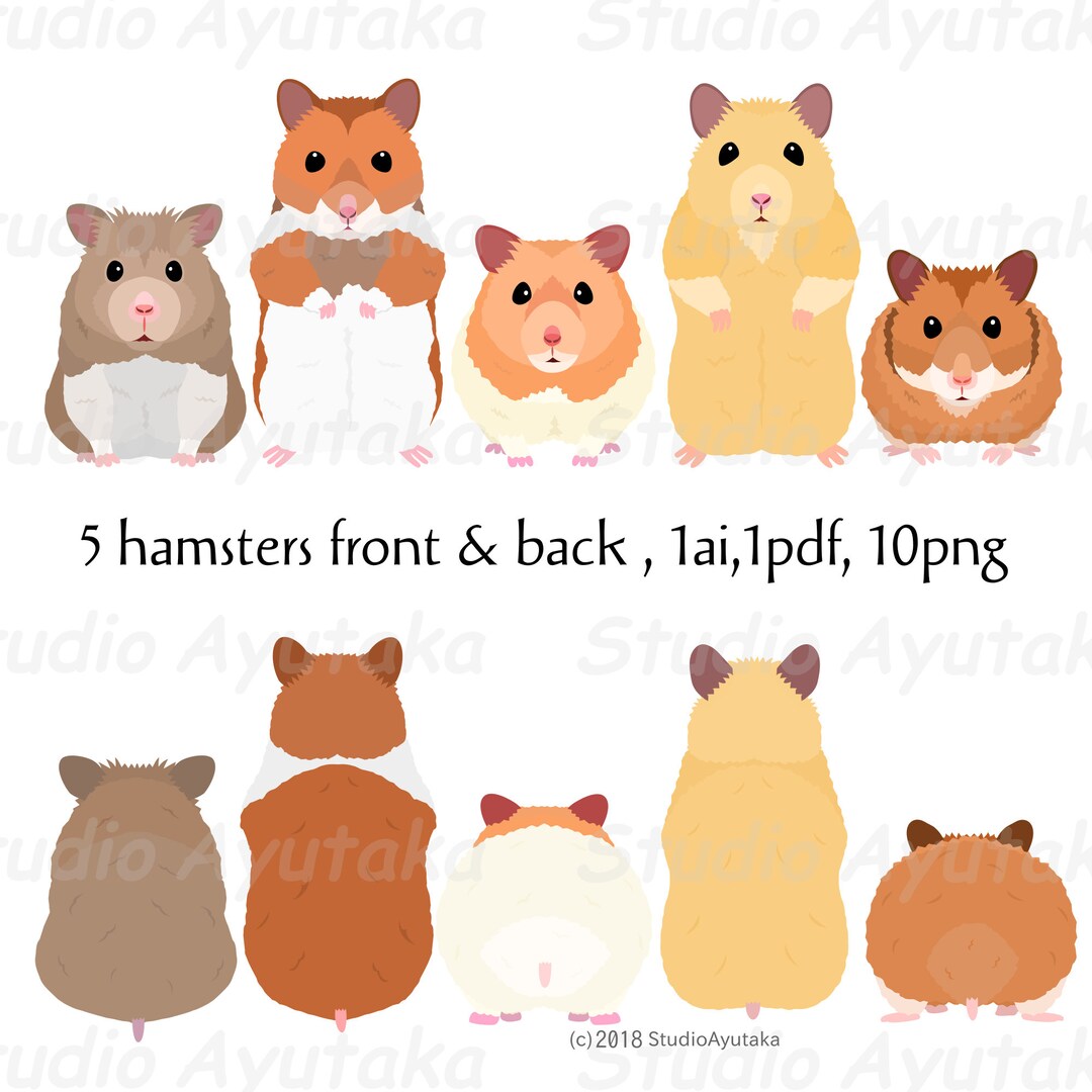 5 Hamsters Front&back Bundle, Png, Ai, Pdf - Etsy