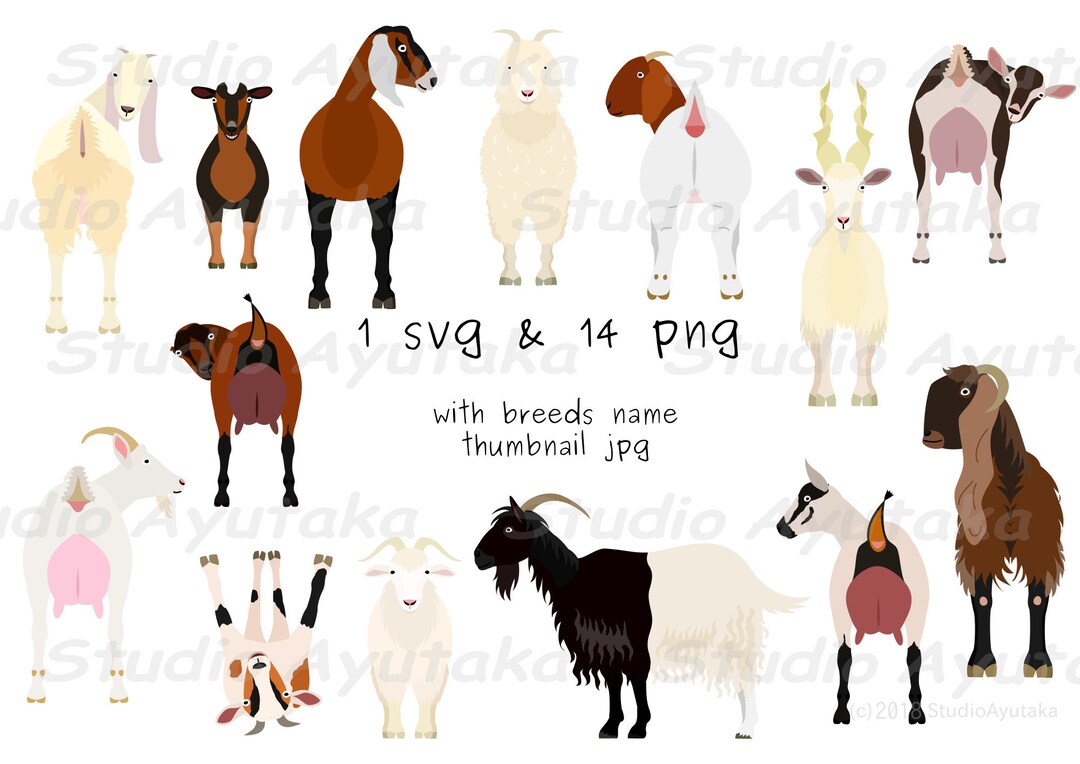 Set of 14 Hand-drawn Goat Breeds Clipart , Svg, Png - Etsy