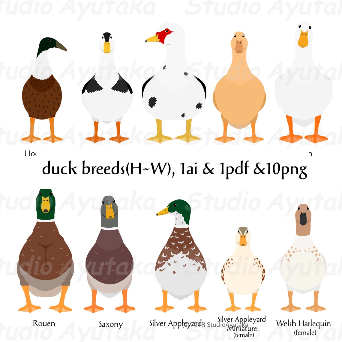 Duck Breedshw Ai Pdf Png - Etsy