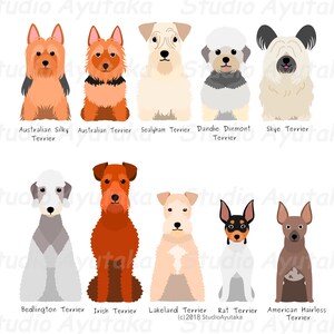 10 Cute Terriers Sitting Set 2, Svg, Png, Handmade, Illustration ...