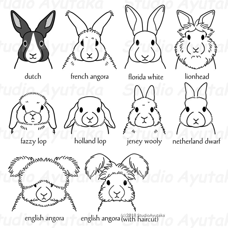 10 Bunnies Line Art Bundle Svg Ai Pdf Png - Etsy UK