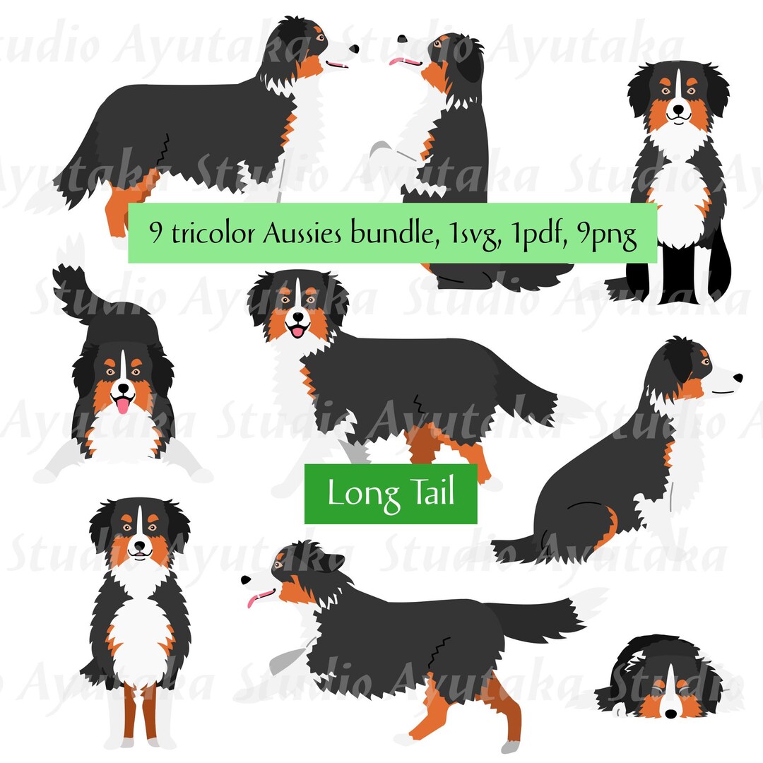9 Black Tricolor Australian Shepherd(long Tail) Bundle - Hand-drawn ...