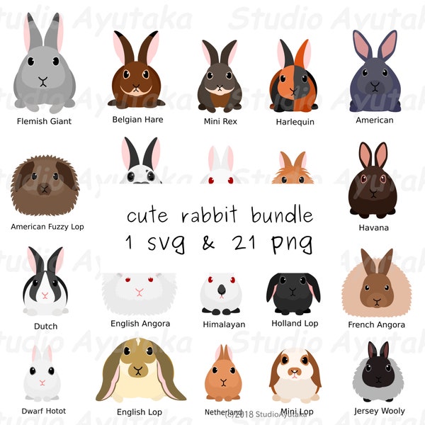 Rabbit Svg File - Etsy