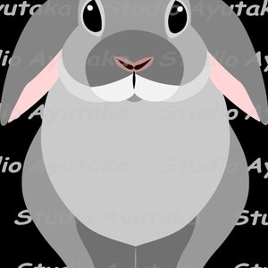 8 Rabbits Lineart&color Bundle, Svg, Png, Illustration, Digital Drawing ...