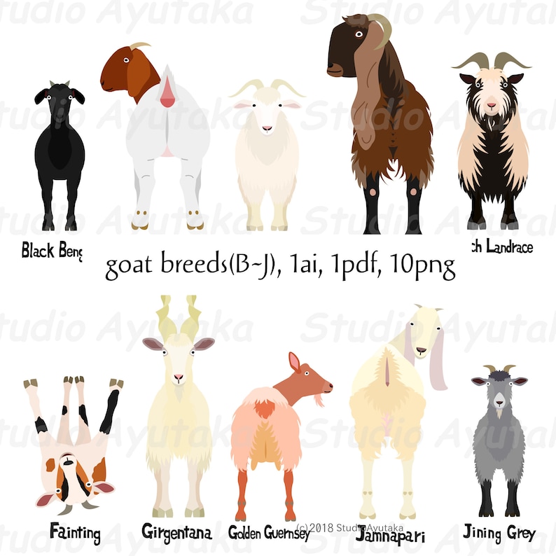 Goat Breeds BJ Bundle Ai Pdf Png - Etsy