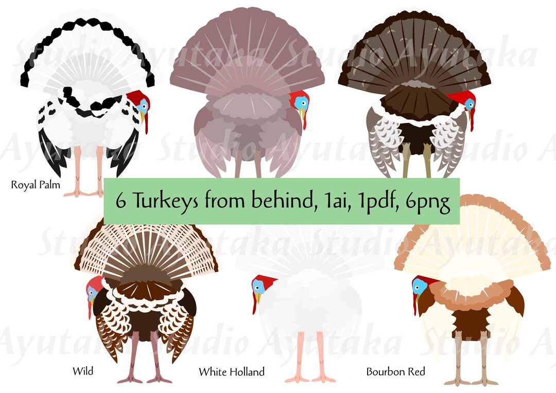 6 Turkeys From Behind Bundle, 1ai, 1pdf, 6png, Illustration, Digital ...