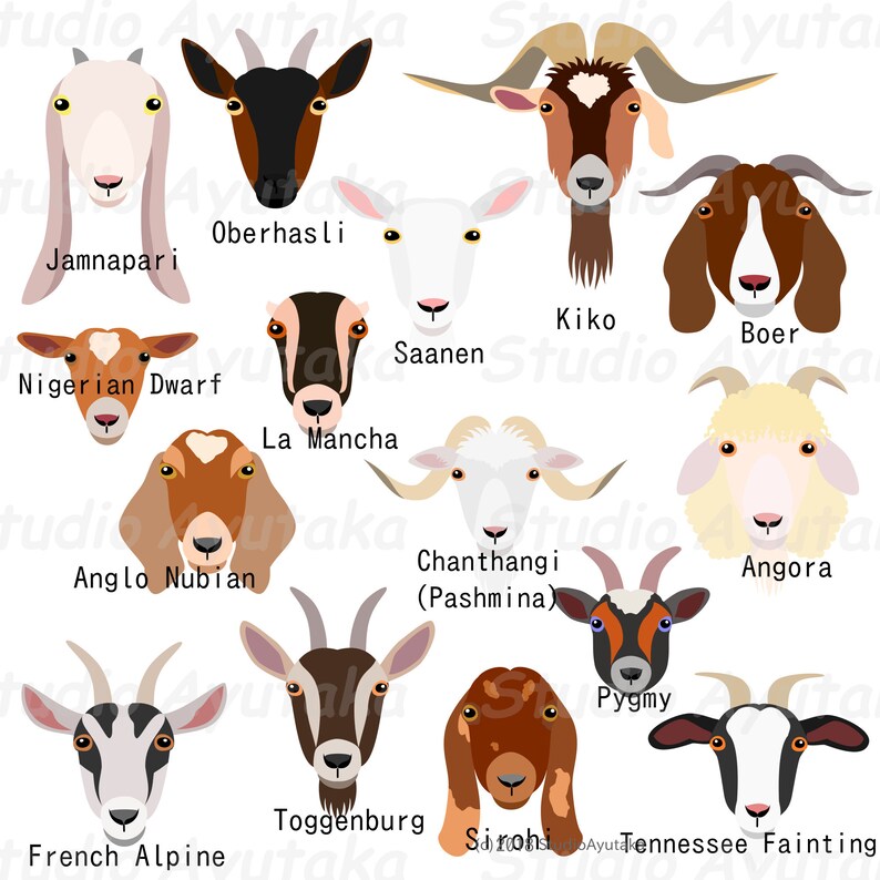 15 Goats Heads Bundle Ai Pdf Png - Etsy