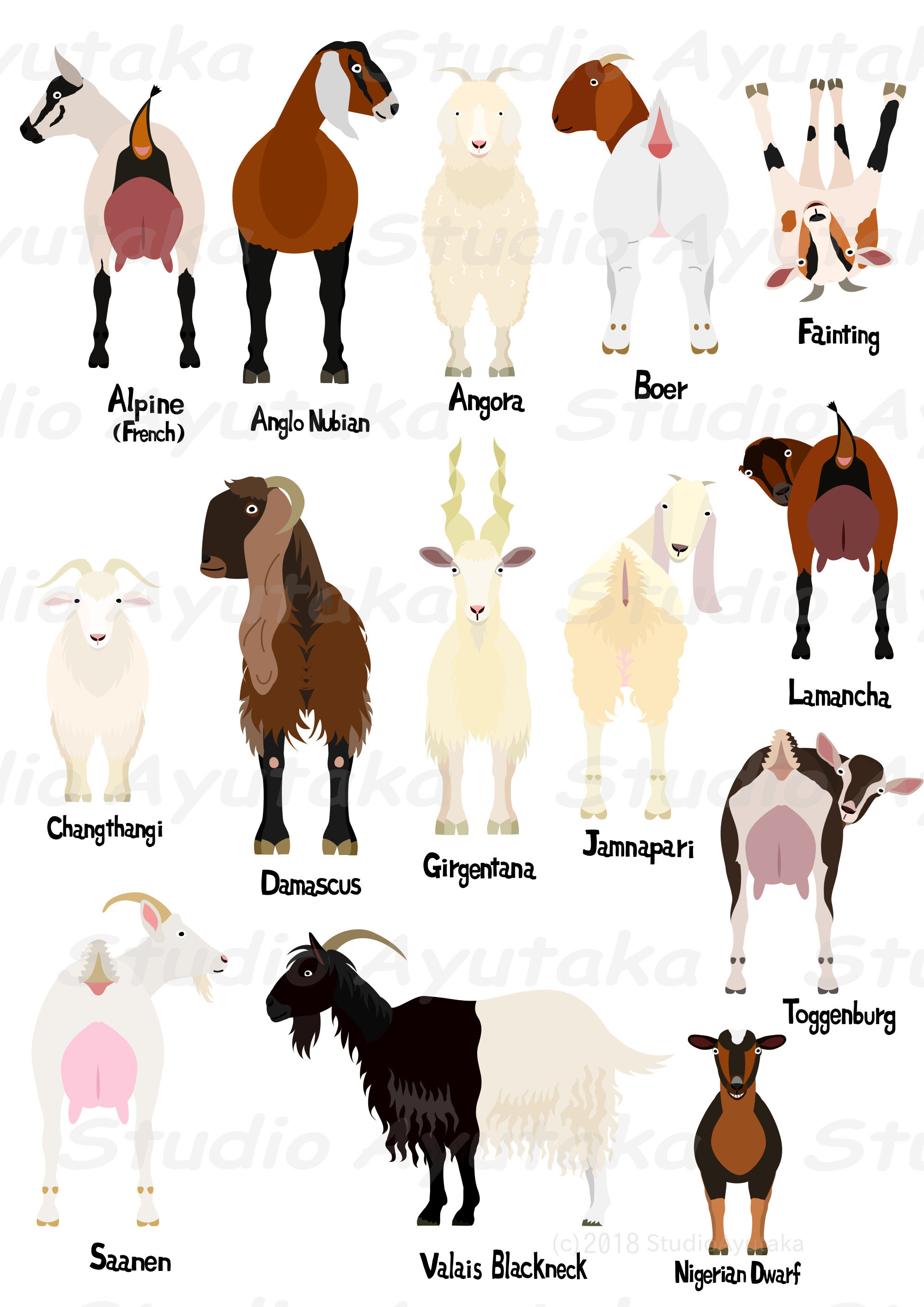 14 razas de cabras set svg png jpg | Etsy