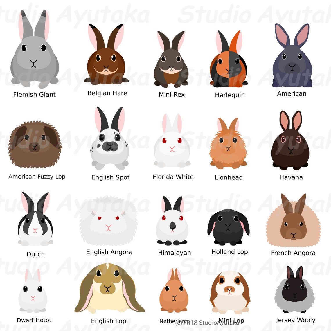 20 Rabbit Breed Bandle Svg Png - Etsy