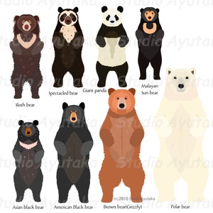 8 Bear Breeds Bundle, Png, Ai, Pdf - Etsy