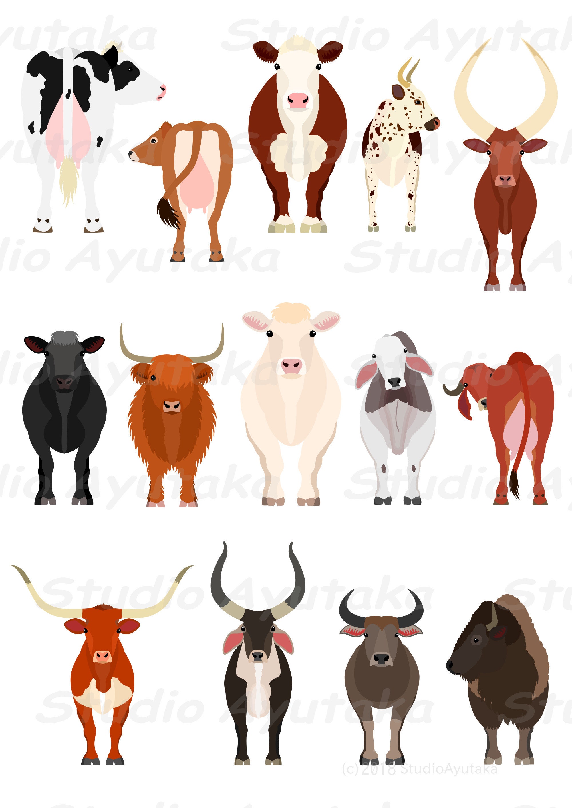 14 Breeds of Cows Bundle Svgpng - Etsy