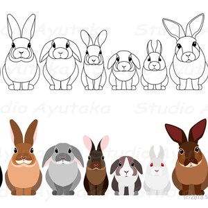 8 Rabbits Lineart&color Bundle, Svg, Png, Illustration, Digital Drawing ...