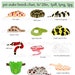 12 Breeds of Pet Snake Chart, 1 Pdf, 1 Jpg, 1 Png, 16*20'' - Etsy