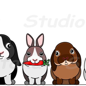 Rabbits Full Border Set 2, Line Art&color, Svg, Png, Illustration ...