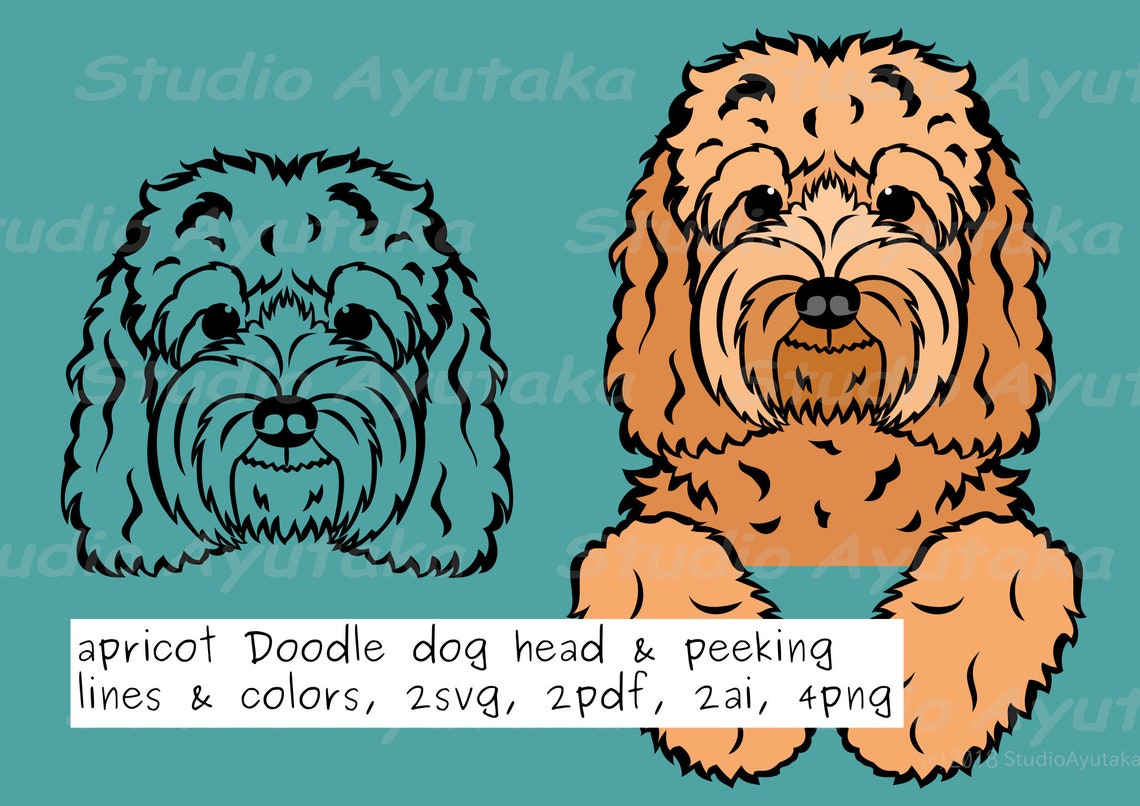 Apricot Doodle Dog Peeking and Head Line Art Bundle, Svg, Png, Ai, Pdf ...