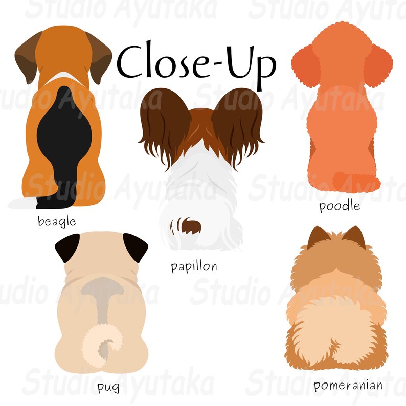 Dogs From Behind Bundle(1), 15 Breeds, Svg, Png, Illustration, Digital ...