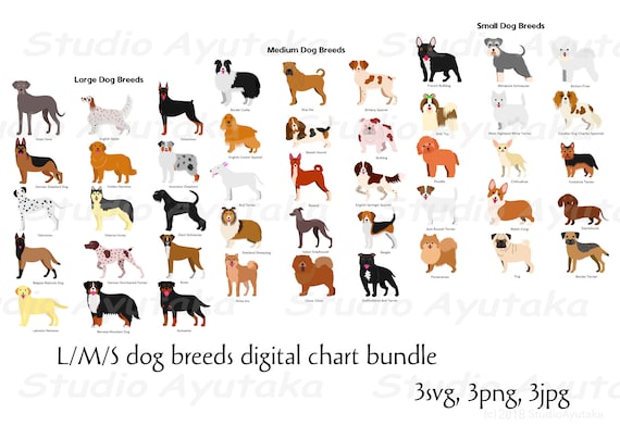 Dog Species Chart