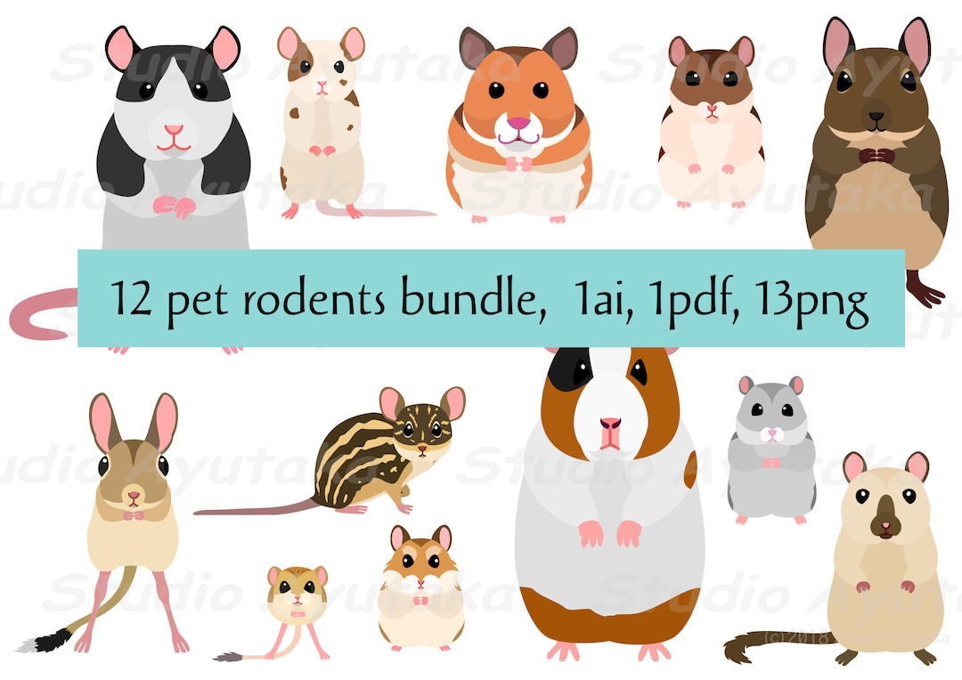 Pet Rodents Bundle, Ai, Pdf, Png - Etsy