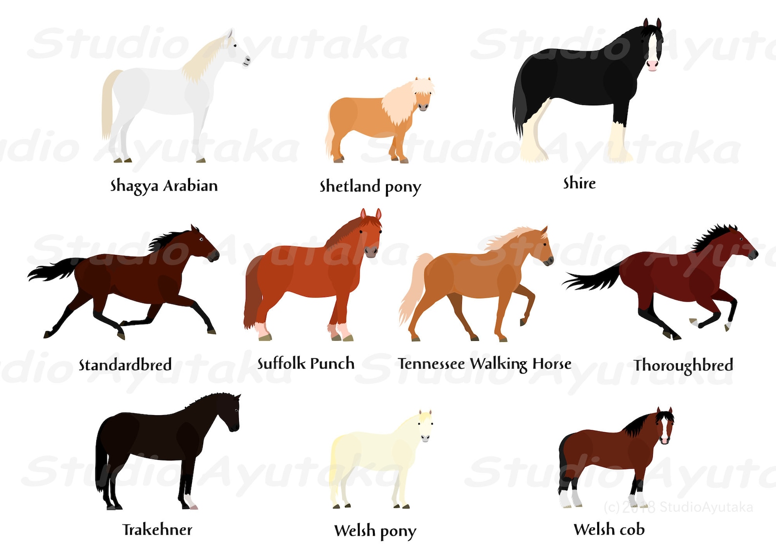 Horse Breed SW Bundle Ai Pdf Png | Etsy