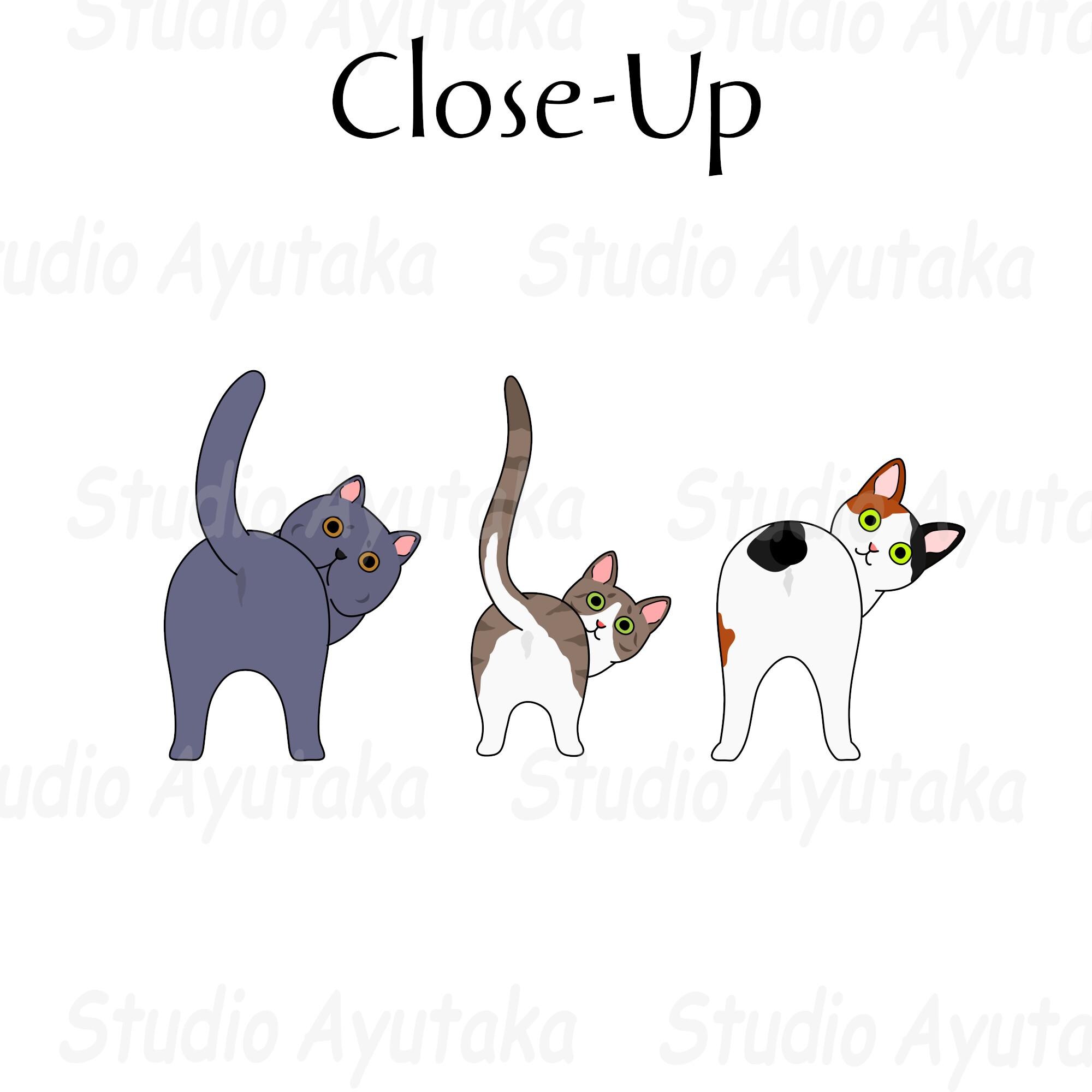 11 Funny Cartoon Cats Looking Back Set, Svg, Png, Hand-drawn Digital ...