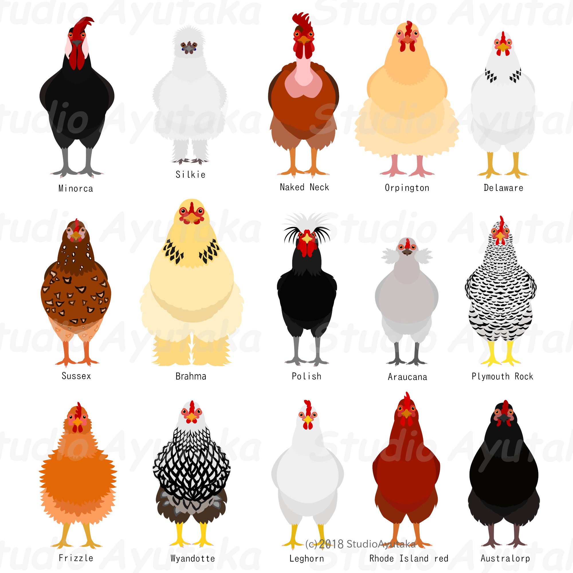15 Breeds of Chickens Bundle Svg Pdf Ai Png - Etsy UK