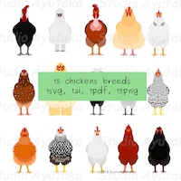 Grandma Chicken, Funny Chickens Clipart, Old Age Hen, Chicken With ...