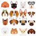 16 Small Dog Face Set, Svg, Png - Etsy