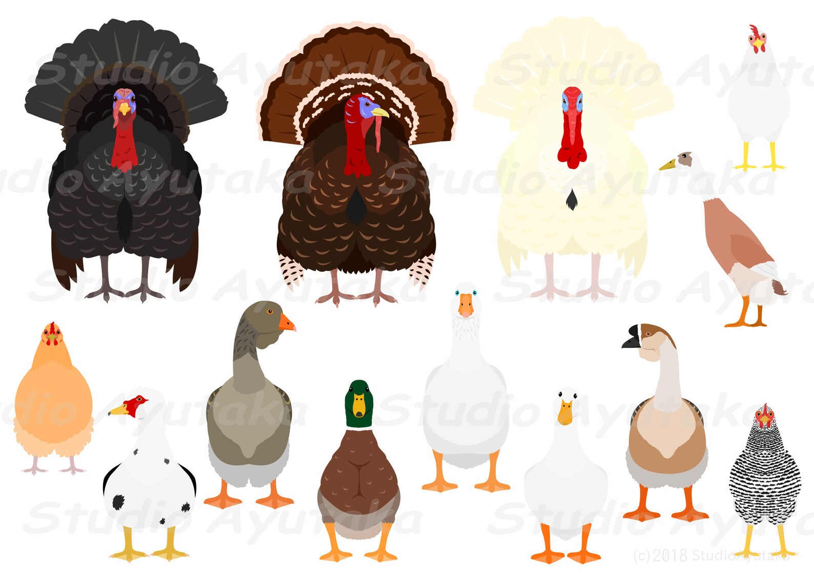 13 Popular Poultry Bundle Ai Pdf Png - Etsy