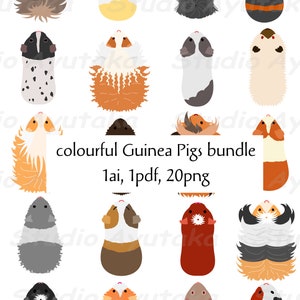 Colorful Guinea Pigs Bundle, 1ai, 1pdf, 20png - Etsy